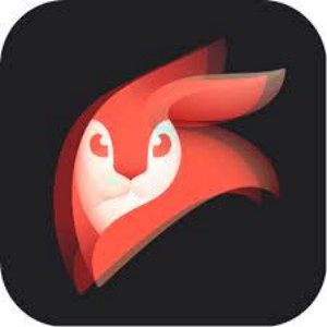 Videoleap: Easy-To-Use Ai Video Creation Software