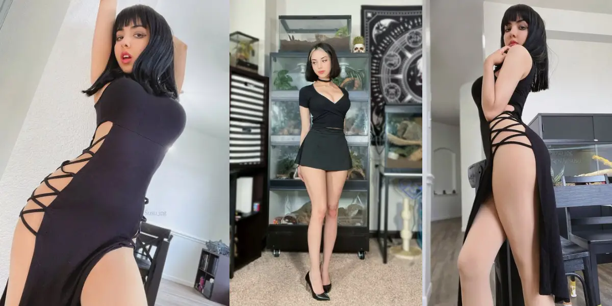 How to Use Susu AI?A Guide to Get You Up to Speed!